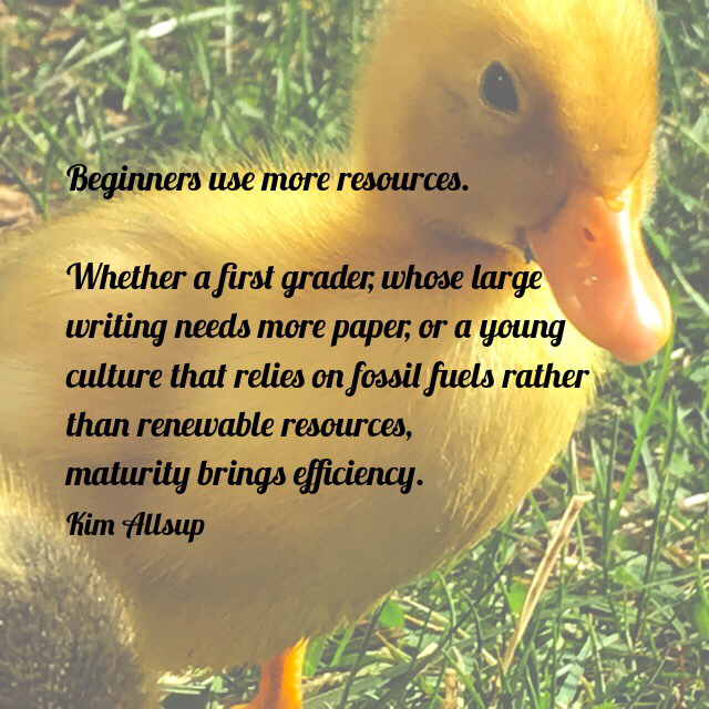 Beginners Use More Resources – Growing Children